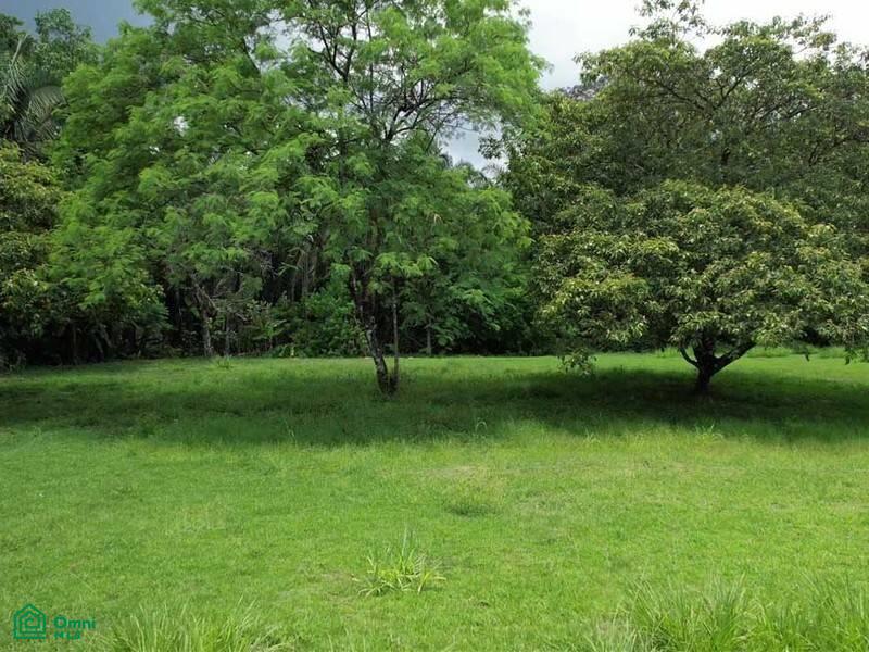 Walk To The Beach | Your Paradise In Playa Blanca, Puerto Jimnez ...