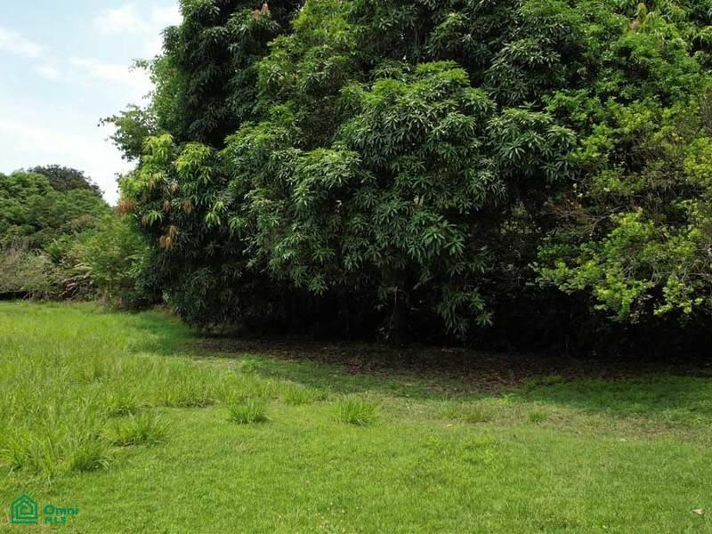 Walk To The Beach | Your Paradise In Playa Blanca, Puerto Jimnez ...